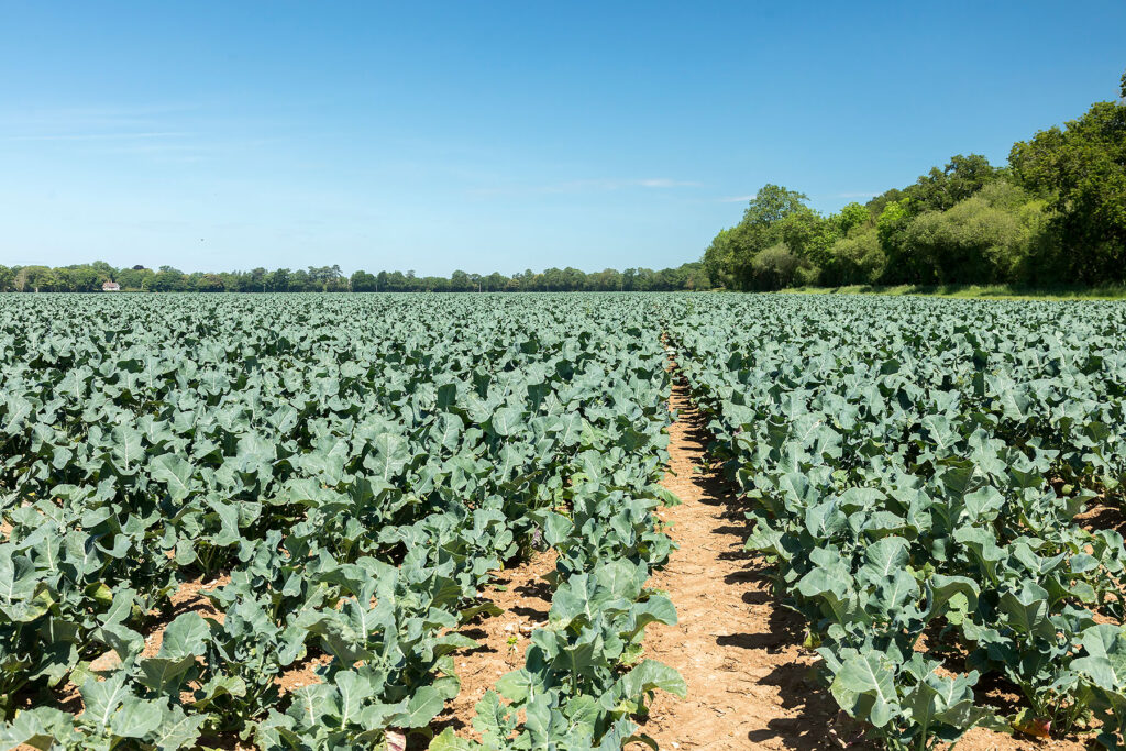 Filming and Photography - Broadlands Estates