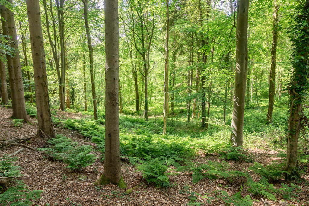 Farms and Land - Broadlands Estates